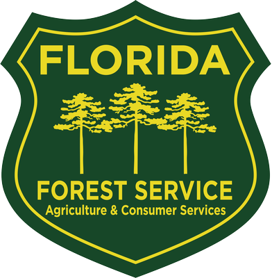 A Day in the Life | FIA Forester in Florida - Southern Group of State ...