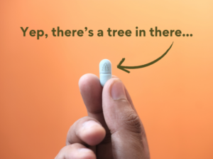 You’ll never believe these 6 products come from trees - Southern Group ...