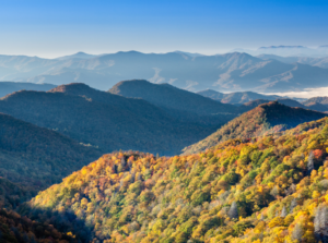 Southern Group of State Foresters