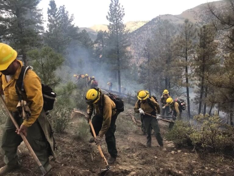 Behind the flames: understanding wildfire deployments and coordinated ...